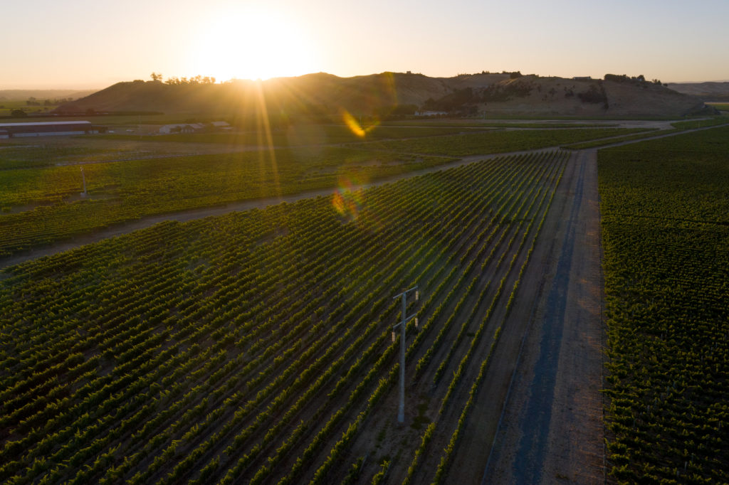 Pask Winery - Gimblett Gravels