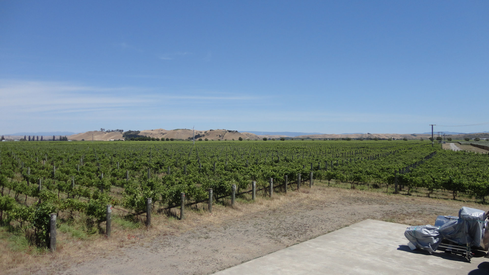 William Murdoch Wines - Gimblett Gravels